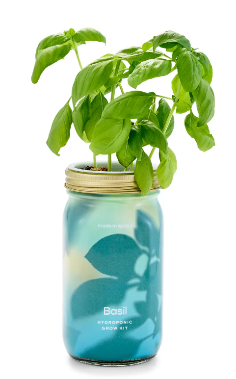 Basil Hydroponic Grow Kit | The Bottled Olive Pantry